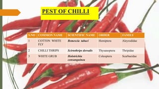 Rajan mahendra entomology | PPTX