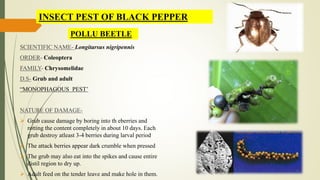 Rajan mahendra entomology | PPTX