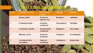 Rajan mahendra entomology | PPTX
