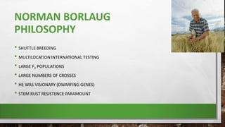 Celebrating 100 Years of Norman Borlaug | PDF