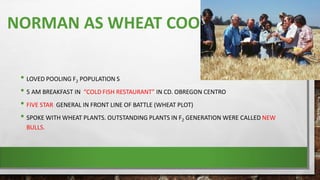 Celebrating 100 Years of Norman Borlaug | PPT