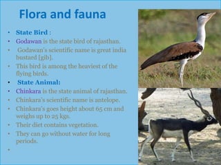 Rajasthan unique-state-of-incredible-india | PPTX