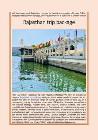 Rajasthan tour | PDF
