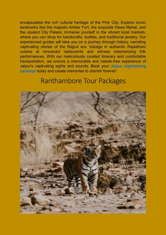 Jaipur Trip package | PDF