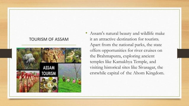 Rajasthan vs Assam.pptx