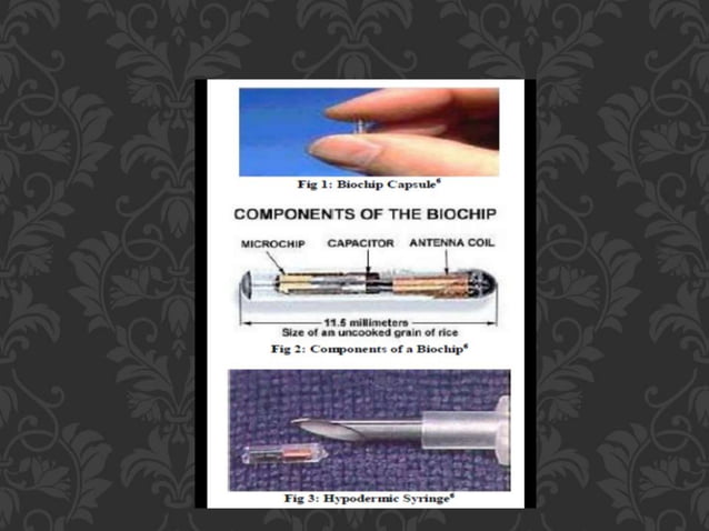 The Biochip Technology | PPTX