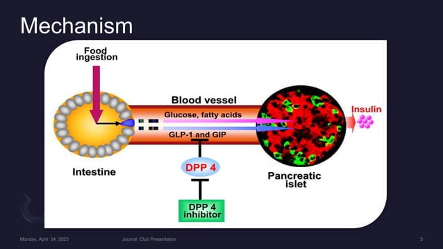 The Role of Incretins in Glucose Regulation in Type 2 Diabetes mellitus ...