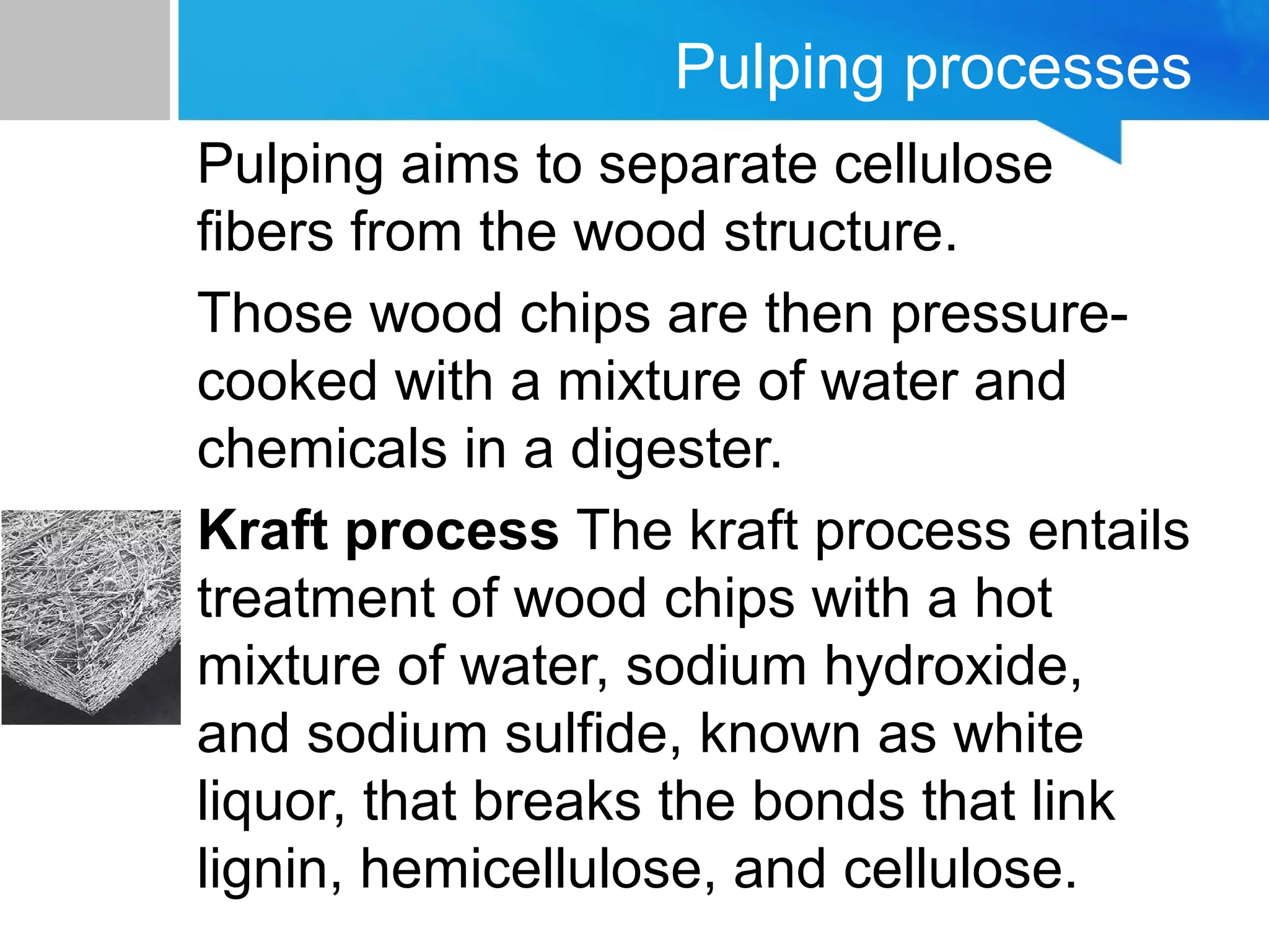 Pulp and Paper | PPT