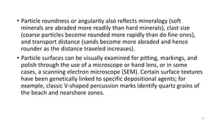 RAJAT YADAV, M.Sc. Previous ,TEXTURE OF SEDIMENTARY ROCKS .pptx | Geology | Science