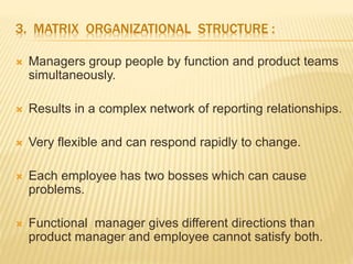 Organaisation structure | PPT