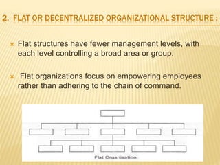 Organaisation structure | PPTX
