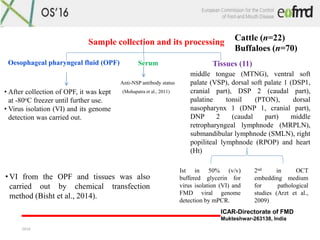 OS16 - 6.G11.c Localization of FMD RNA and Viral Antigens in Different ...
