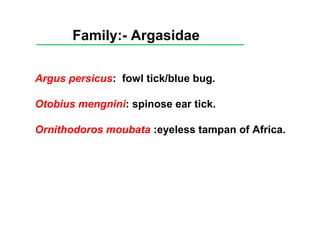 Tick and Disease caused by them. | PPT