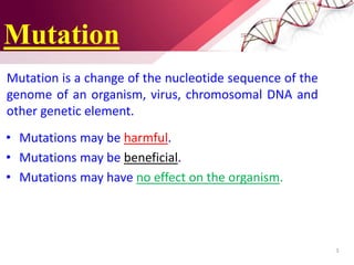 Mutation | PPT