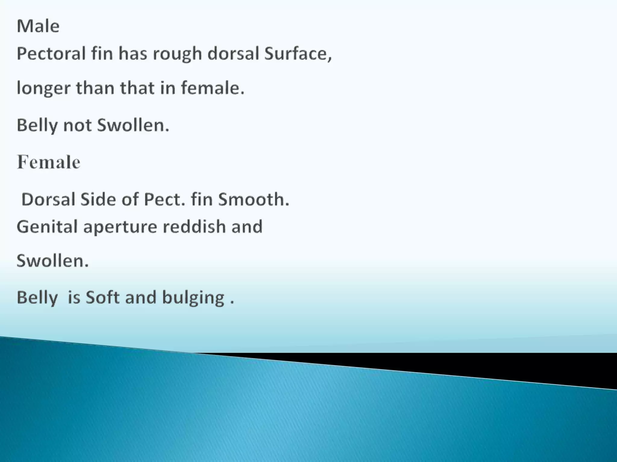 BREEDING AND CULTURE OF CARPS FISHES | PPTX