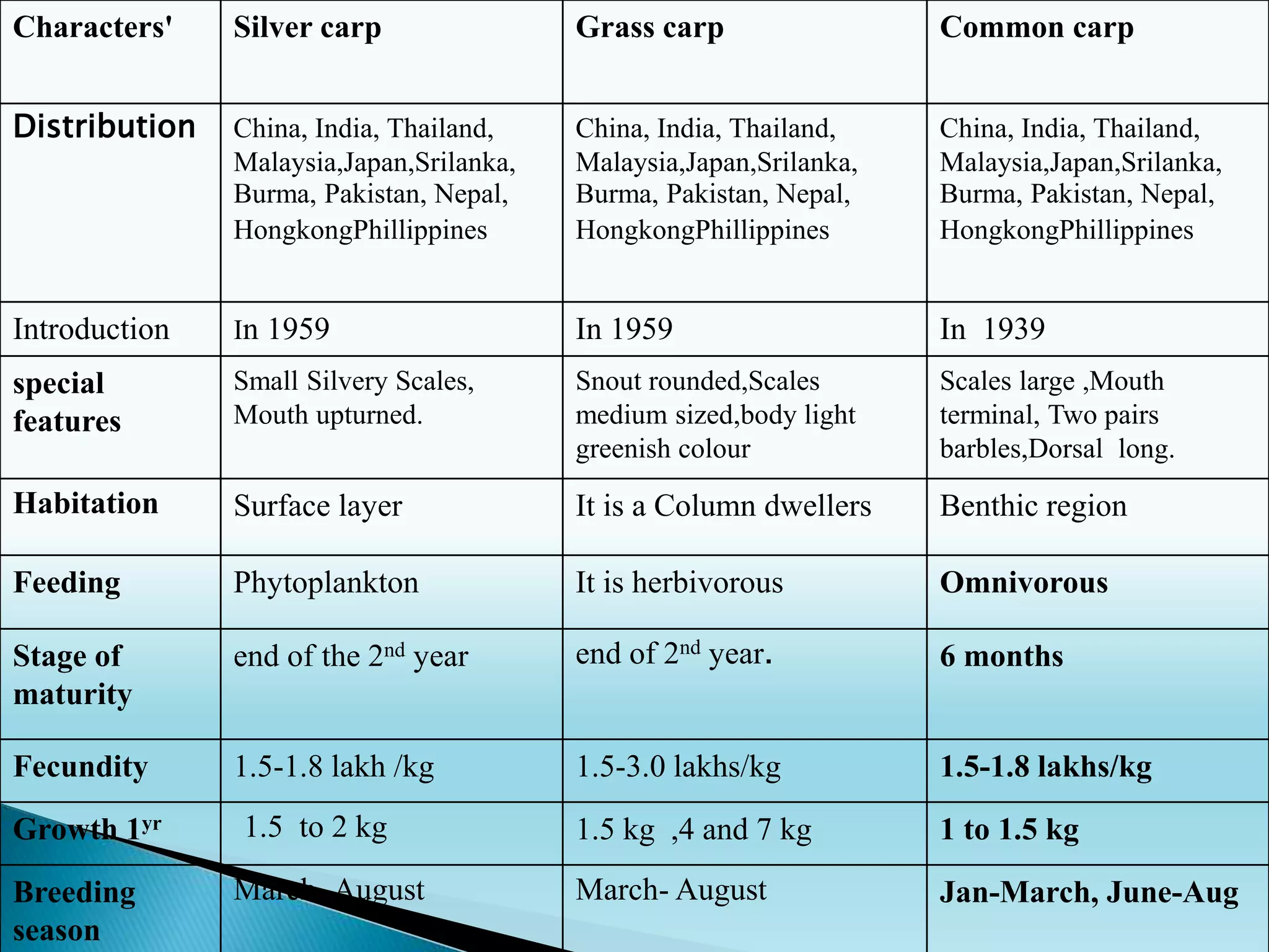BREEDING AND CULTURE OF CARPS FISHES | PPTX