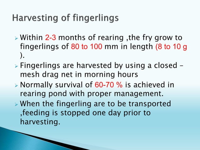 BREEDING AND CULTURE OF CARPS FISHES | PPTX