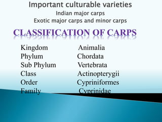 BREEDING AND CULTURE OF CARPS FISHES | PPTX