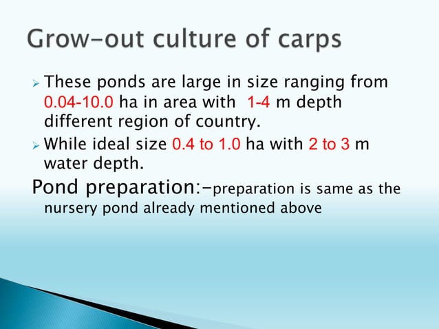 BREEDING AND CULTURE OF CARPS FISHES | PPTX