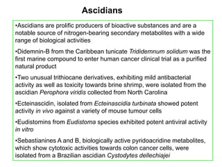 NATURAL PRODUCT FROM ASCIDIANS | PPT