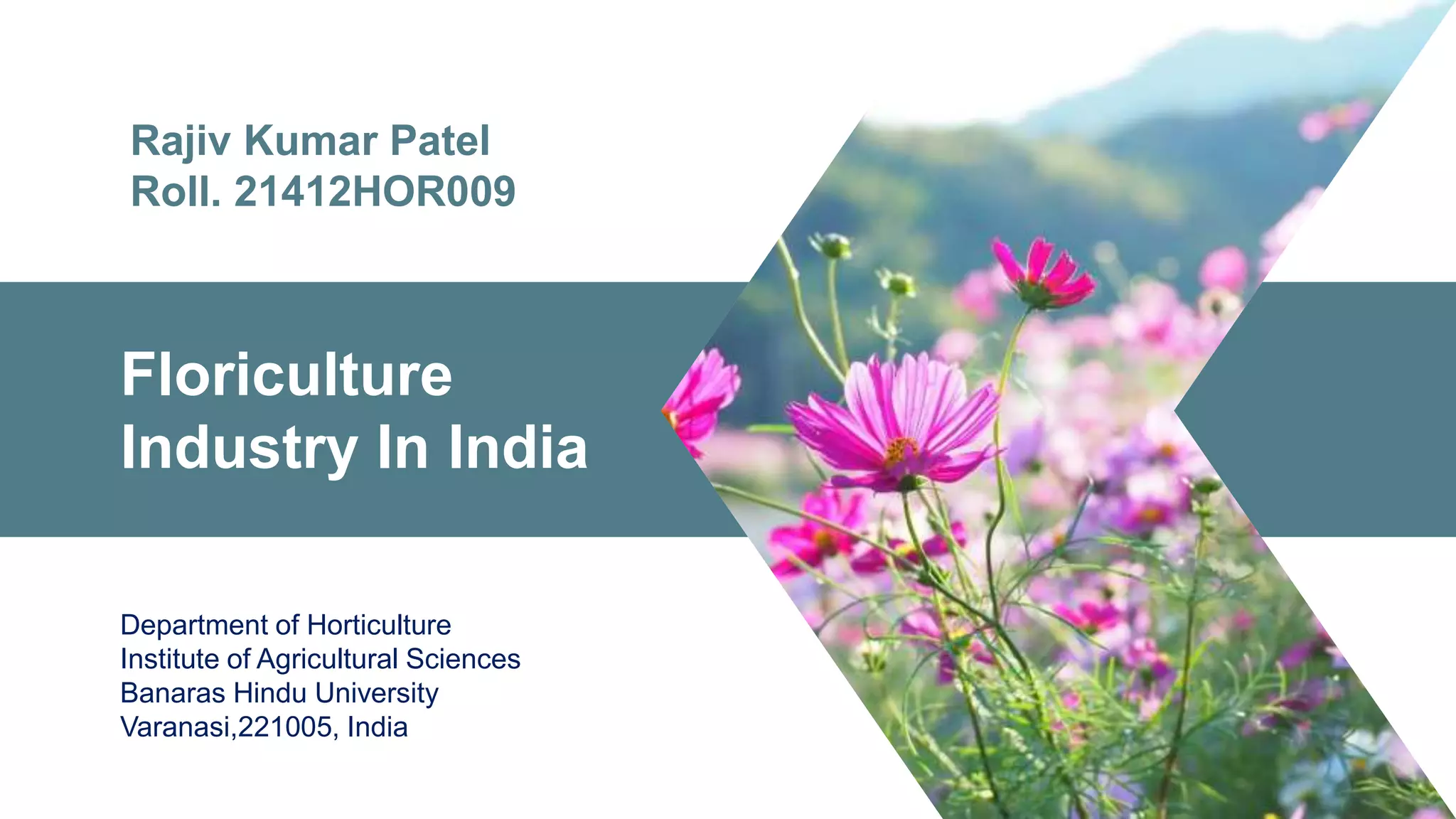 Floriculture Industry In India | PPTX