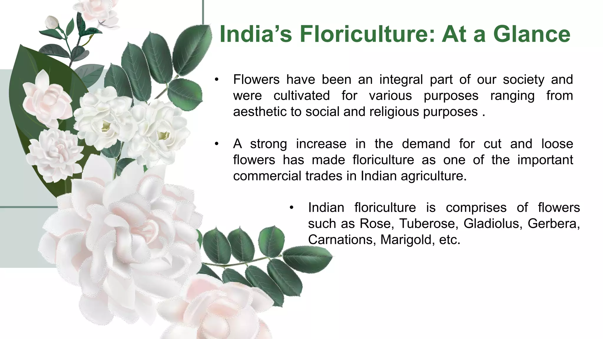 Floriculture Industry In India | PPTX