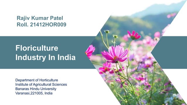 Floriculture Industry In India | PPTX | Herbs and Supplements ...