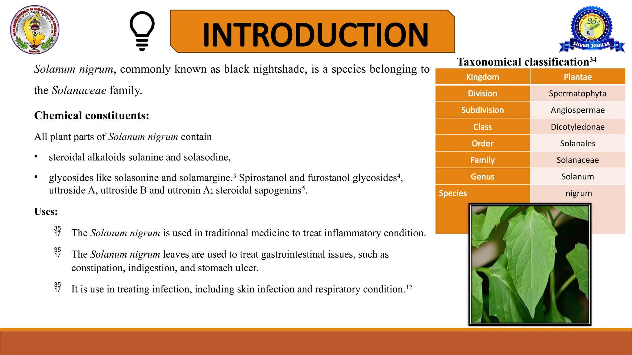 raj ppt.pptx, FORMULATION AND EVALUATION OF Solanum nigrum LEHYA | PPTX