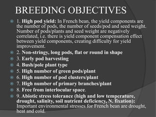 Breeding in Rajma | PPTX