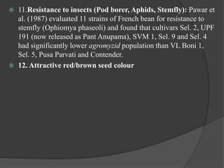 Breeding in Rajma | PPTX