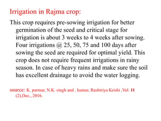 Rajma presentation | PPTX