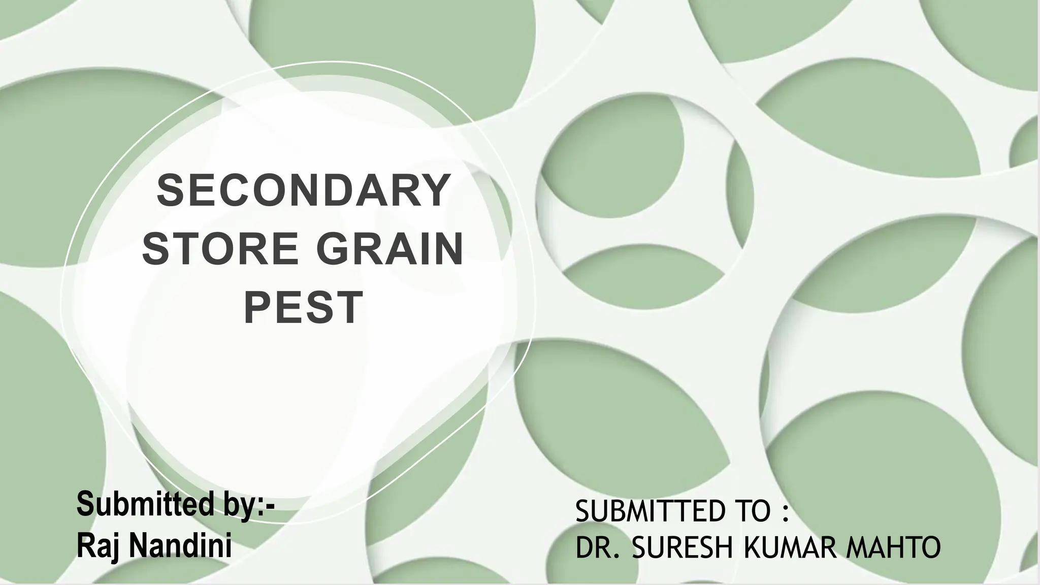 RAJ NANDINI (secondary store grain pest ).pptx