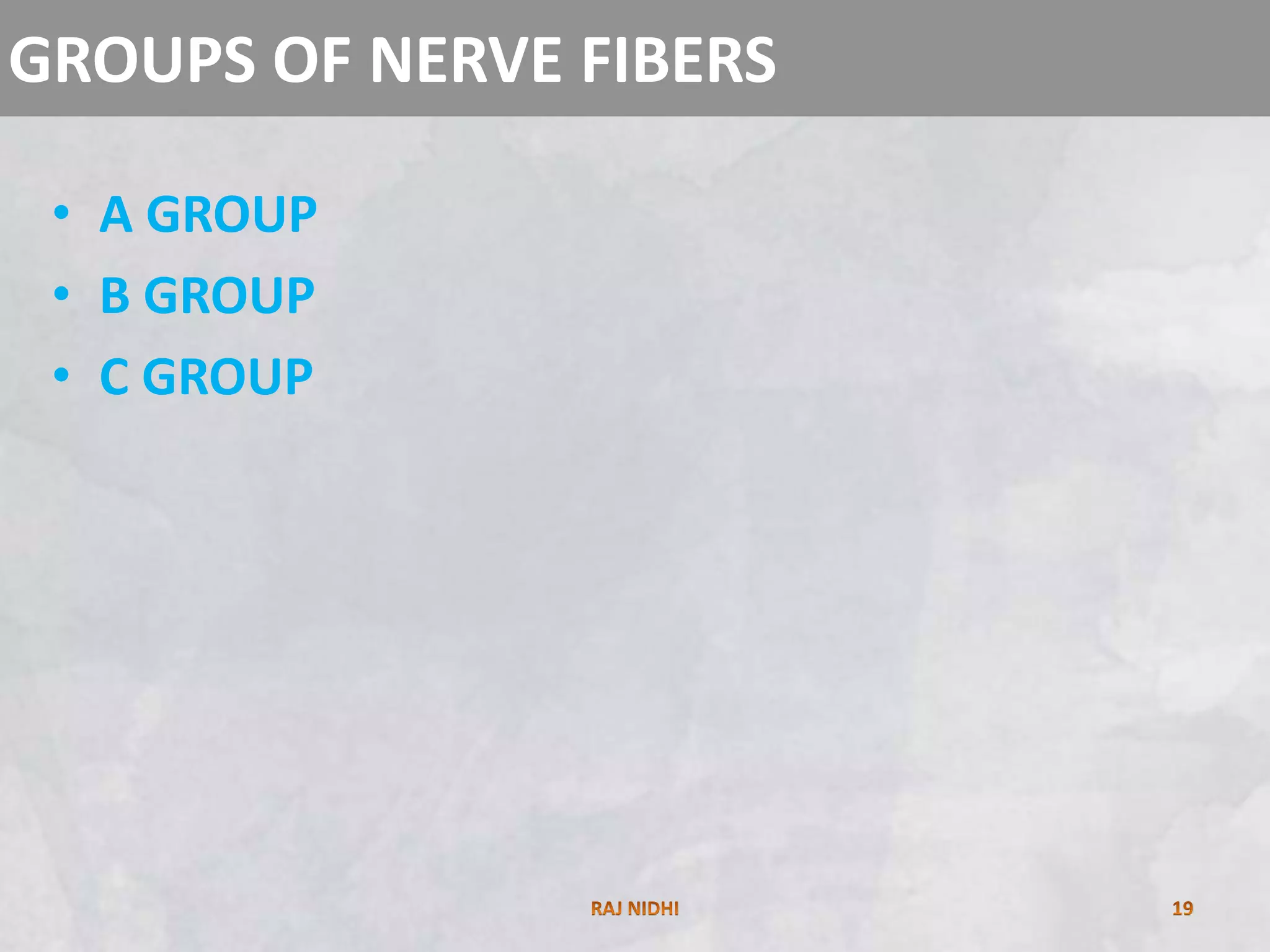classification of nerve fibers | PPTX