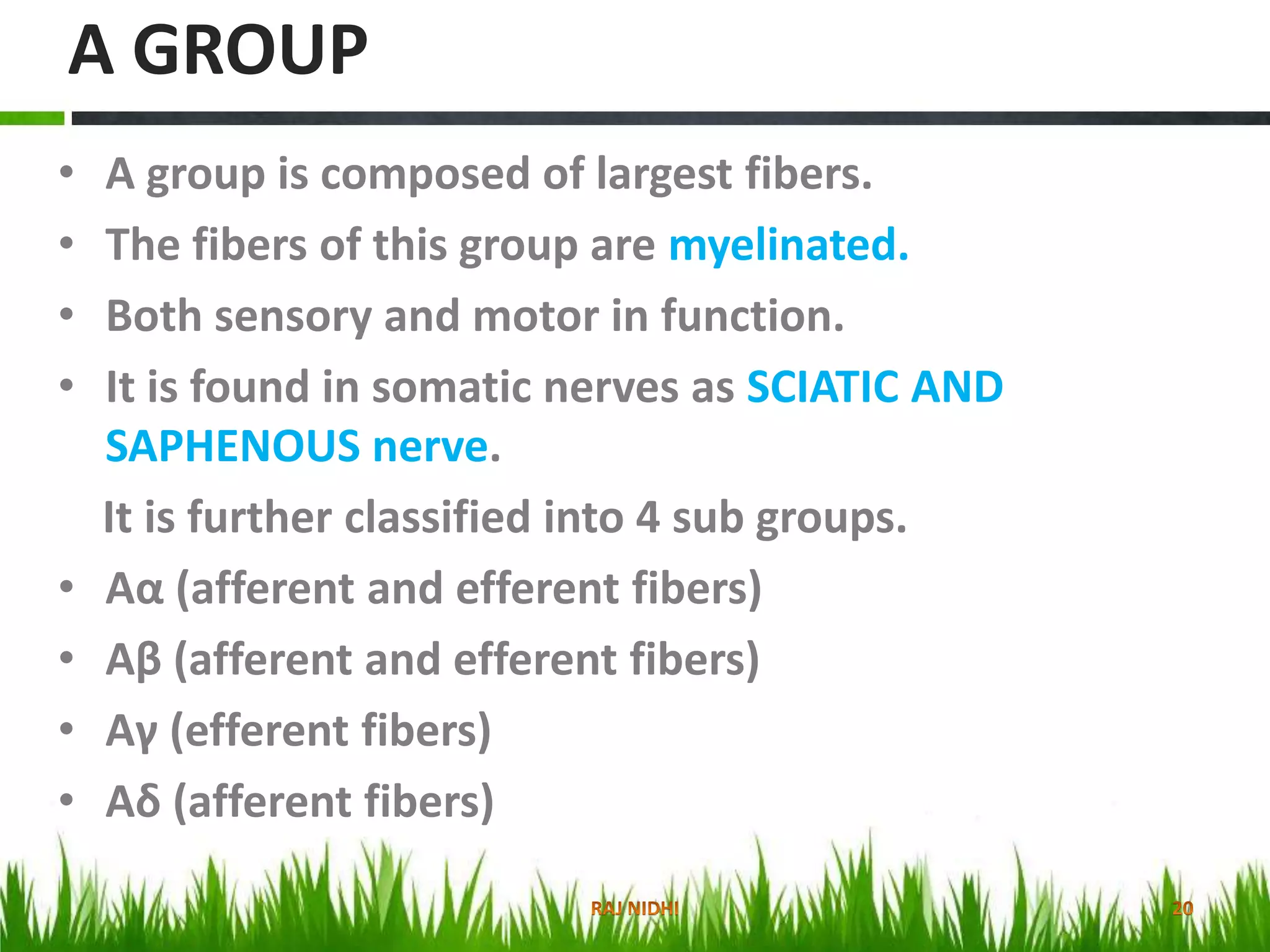 classification of nerve fibers | PPTX