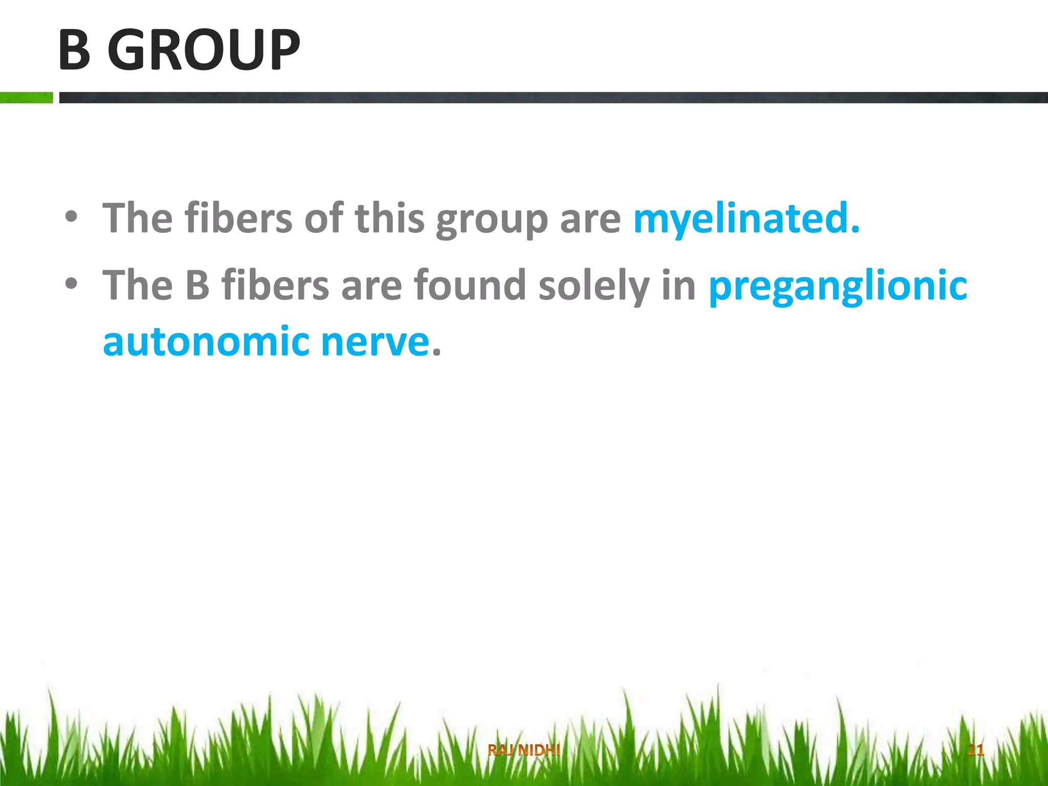 classification of nerve fibers | PPTX