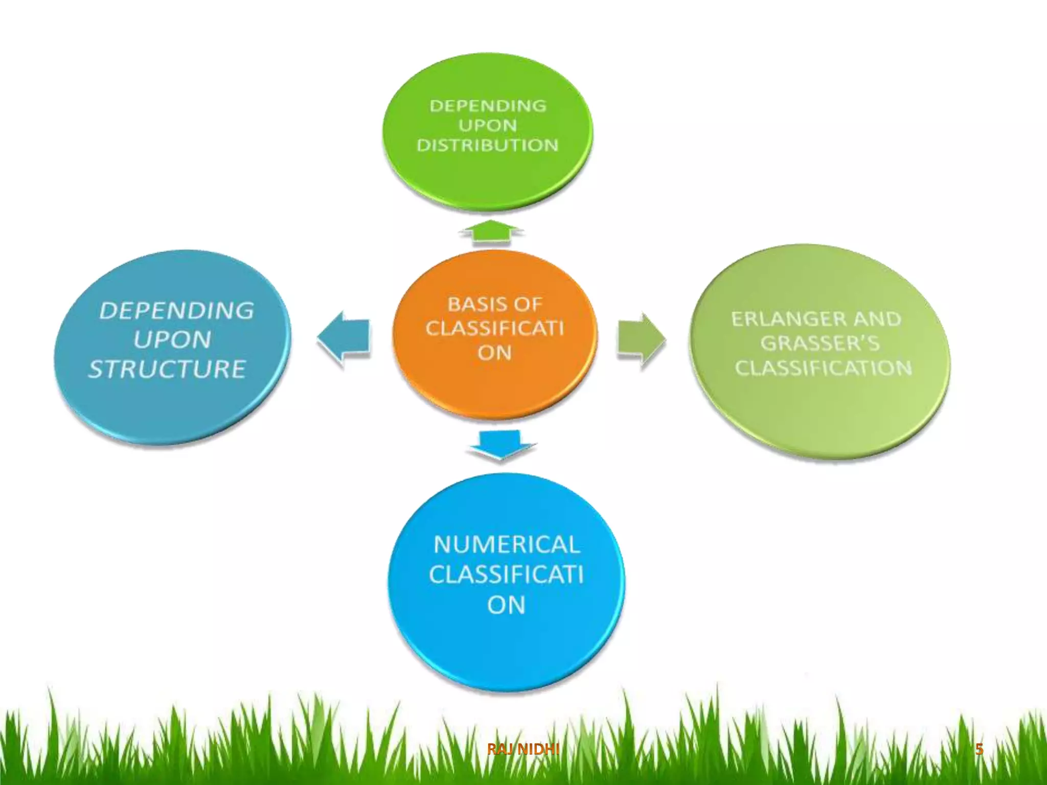 classification of nerve fibers | PPTX