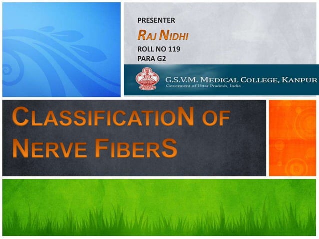 classification of nerve fibers | PPTX