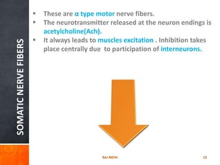 classification of nerve fibers | PPTX