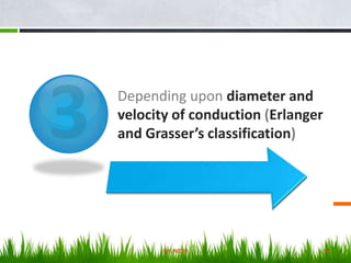 classification of nerve fibers | PPTX