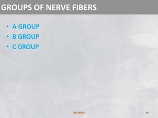 classification of nerve fibers | PPTX