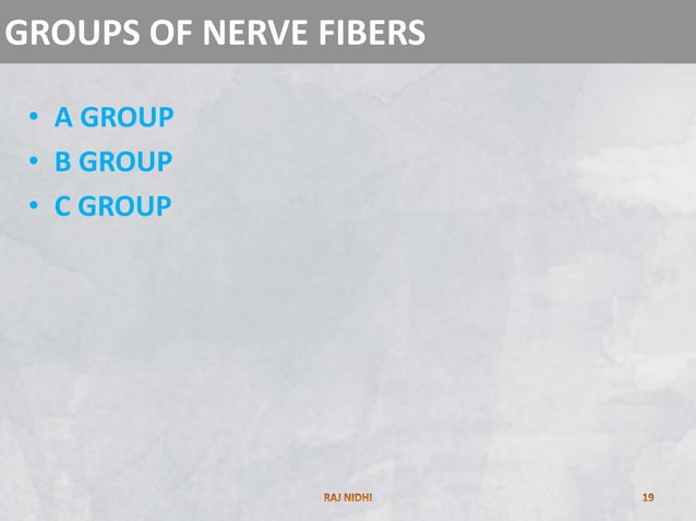 classification of nerve fibers | PPTX