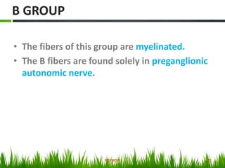 classification of nerve fibers | PPTX