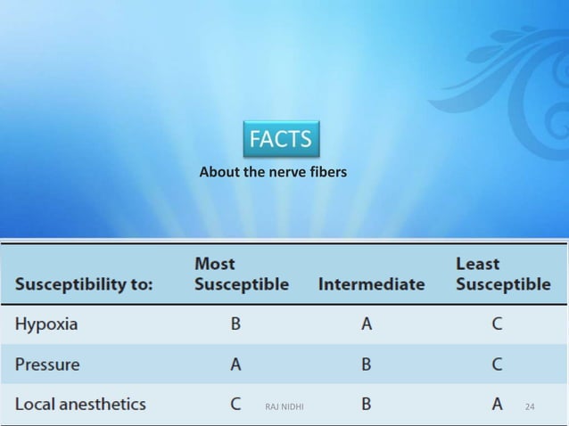 classification of nerve fibers | PPTX