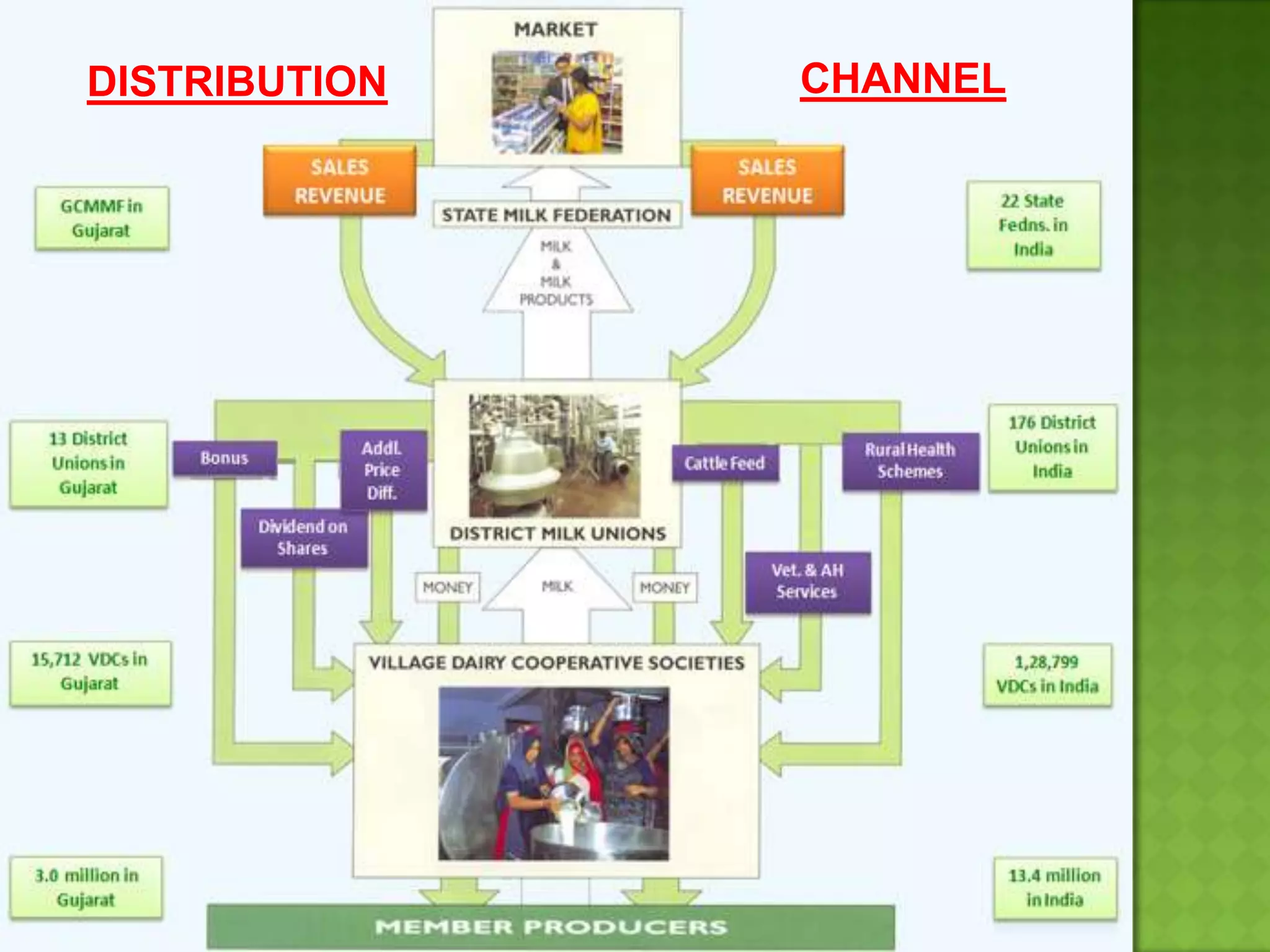 Amul case study | PPTX