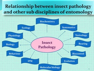insect pest management | PPT