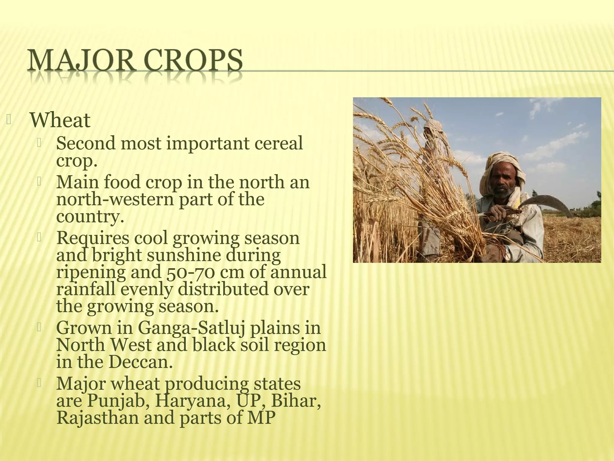 agriculture Std 10 NCERT Board | PPT
