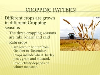 agriculture Std 10 NCERT Board | PPT