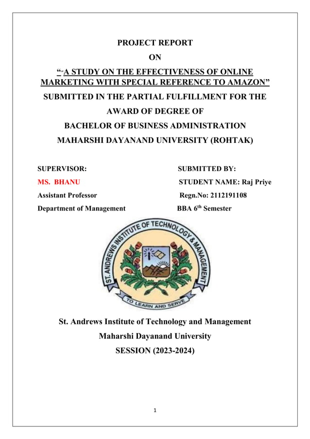 Project File Report BBA 6th semester.pdf