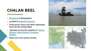 Rajshahi division , Bangladesh , | PPTX