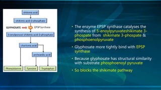 herbicide resistance in plants | PPTX